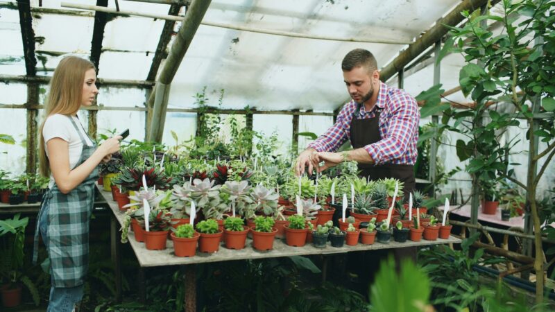 Safe shops, strong teams: How retailers can protect staff from abuse ...